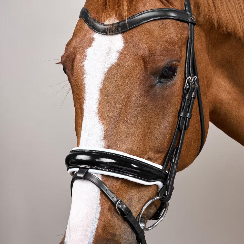 Wide glossy combined noseband bridle with white lining Dy'on DY ON ...