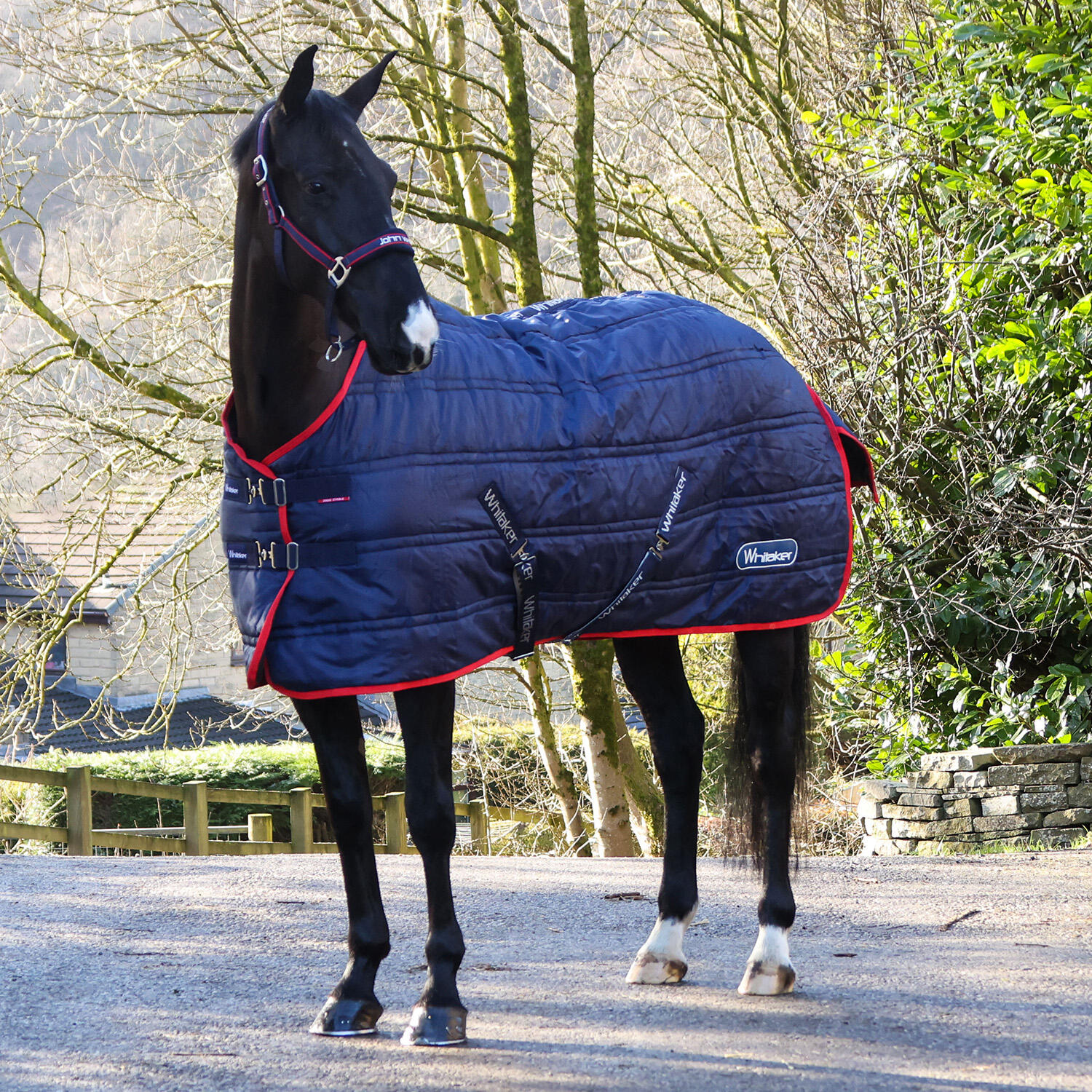 Rastrick V2 200g Stable Rug for Horse by John Whitaker | Decathlon