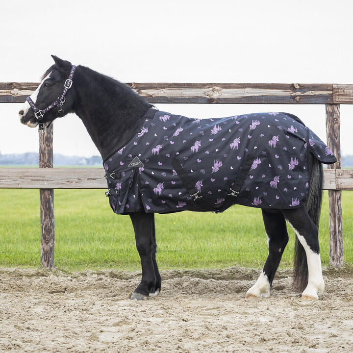 Couverture d'extérieur pour cheval QHP Lize 100g QHP - Decathlon
