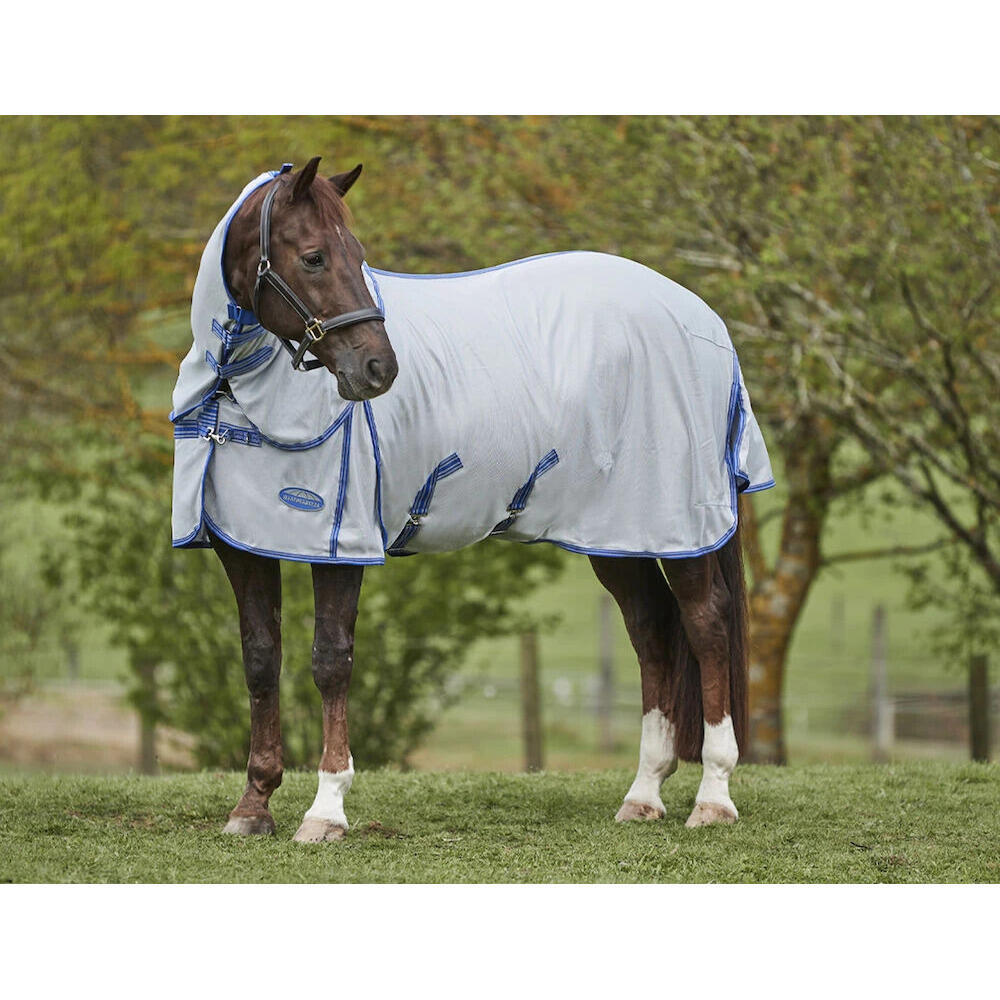 Horse fly sheet with detachable neck cover Weatherbeeta Comfitec ...