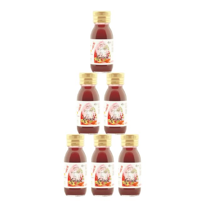 Ingwer Shots "Karkadé Blume" 60ml Fée d'Or (Lot von 36) | Decathlon