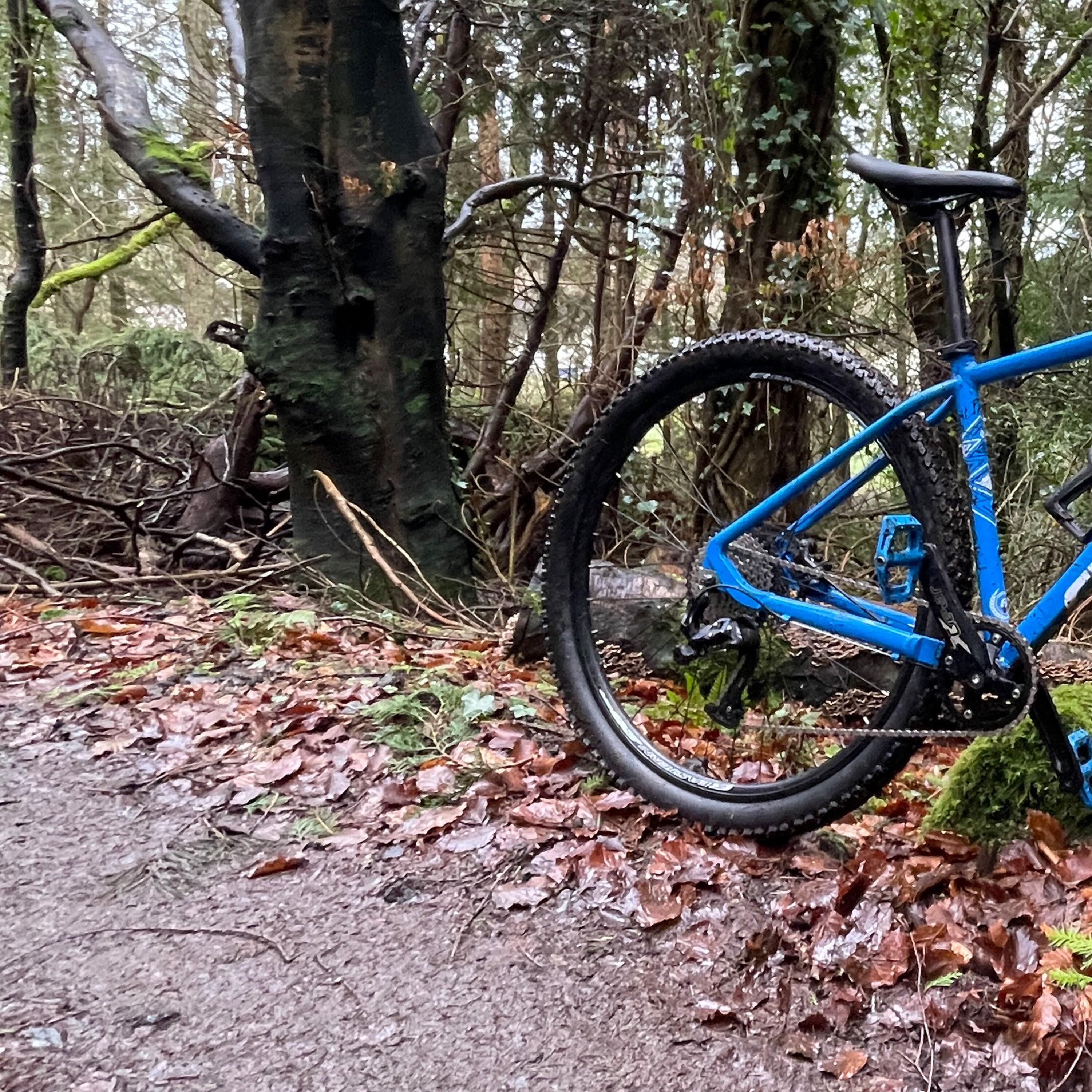 Eastern Alpaka 29 MTB Hardtail Bike - Blue | Decathlon