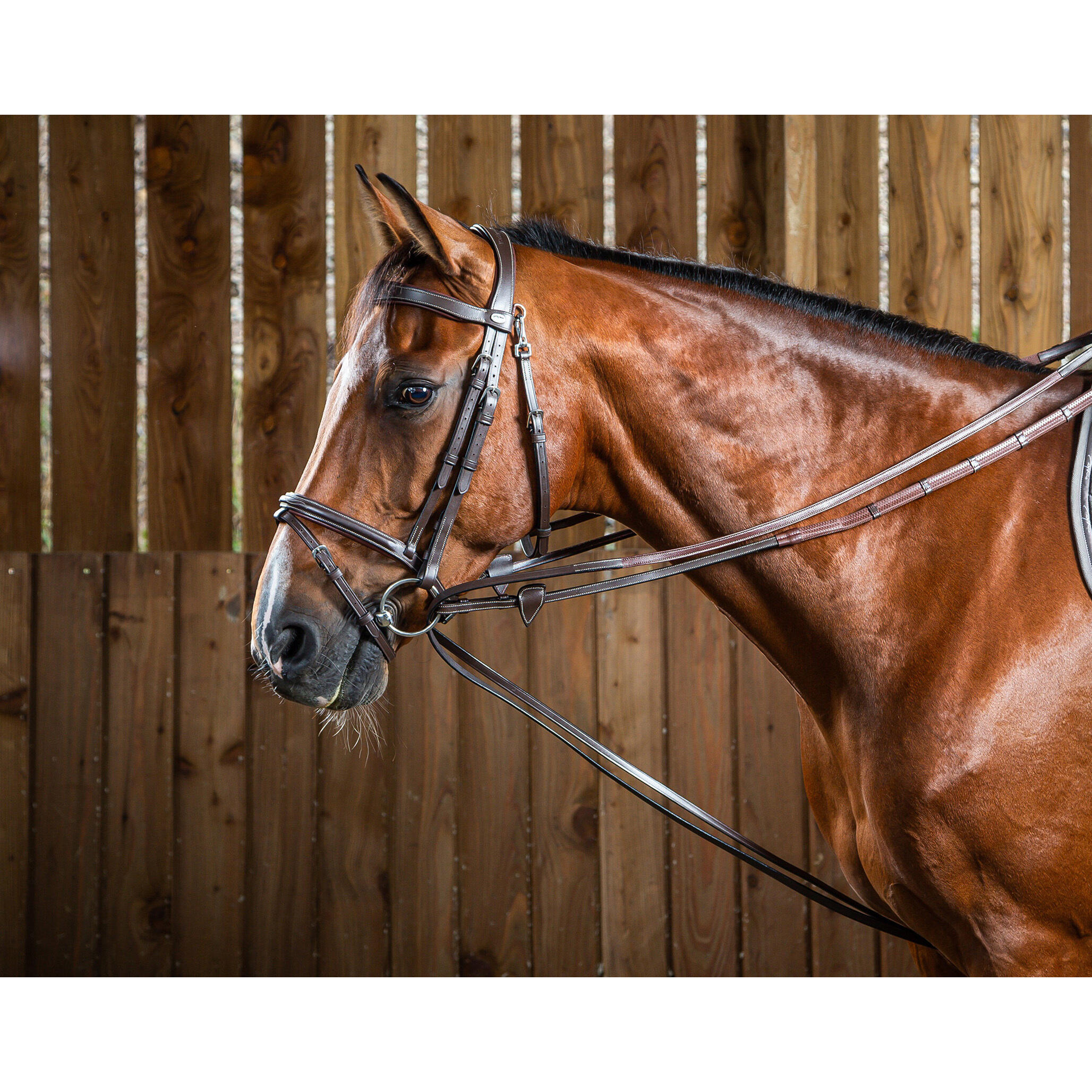 Rênes 1/2 cuir pour cheval Dy'on Hunter DY ON | Decathlon