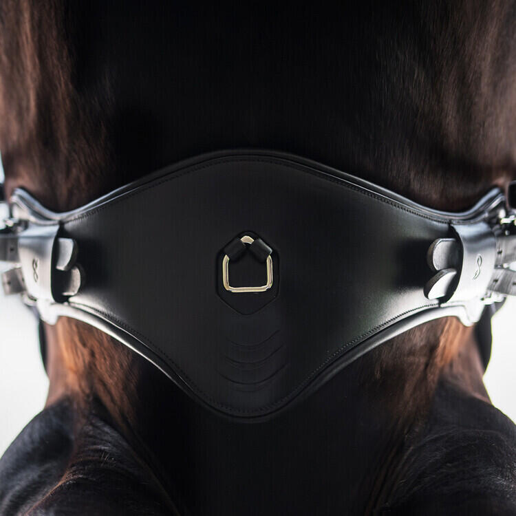 Sangle pour cheval Presteq PerformFree PRESTEQ | Decathlon