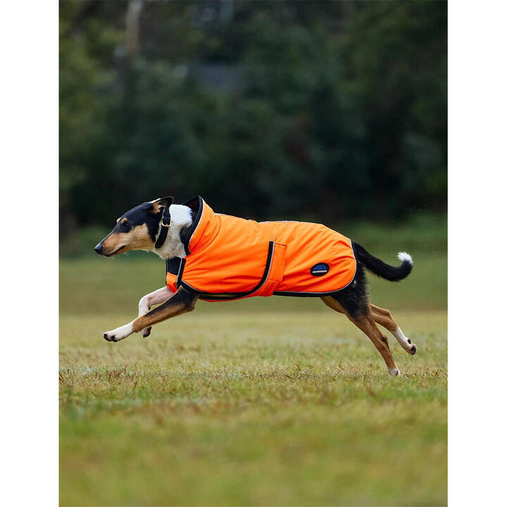 Kutyakabát Weatherbeeta Comfitec Reflective Deluxe 300D WEATHERBEETA ...