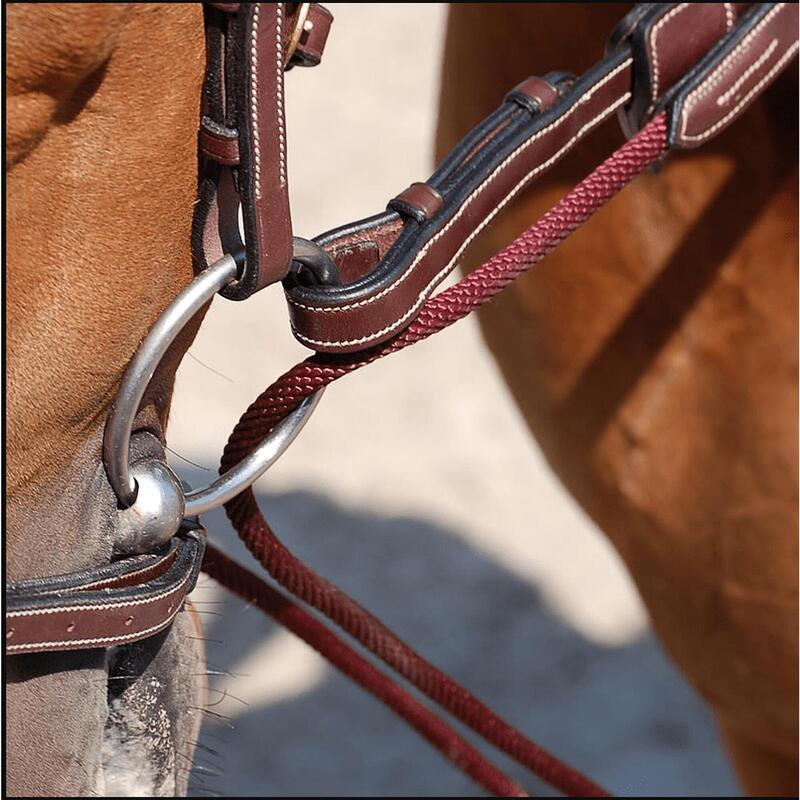 Skórzane lejce dla koni Dy'on 5/8" DY'ON | Decathlon
