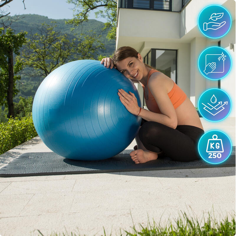 REVITY - Minge fitness pentru gimnastică și recuperare Revity Gym Ball ...