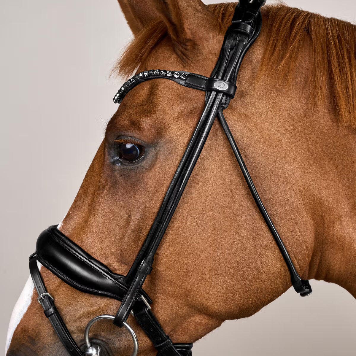 Riding bridle Dy'on ComfoHead DY ON | Decathlon