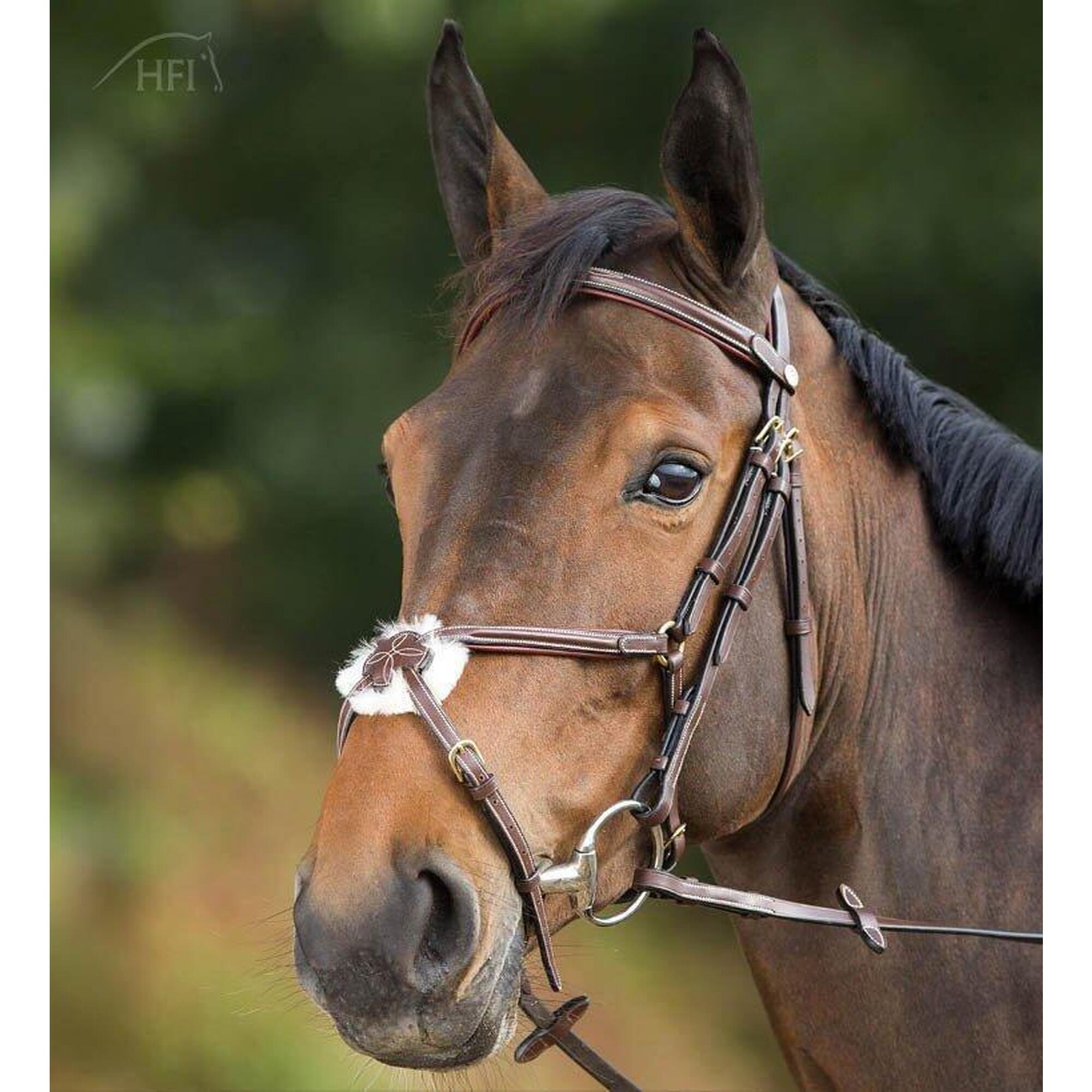 Hfi Hoofdstel Mexican Bruin - HFI - Decathlon