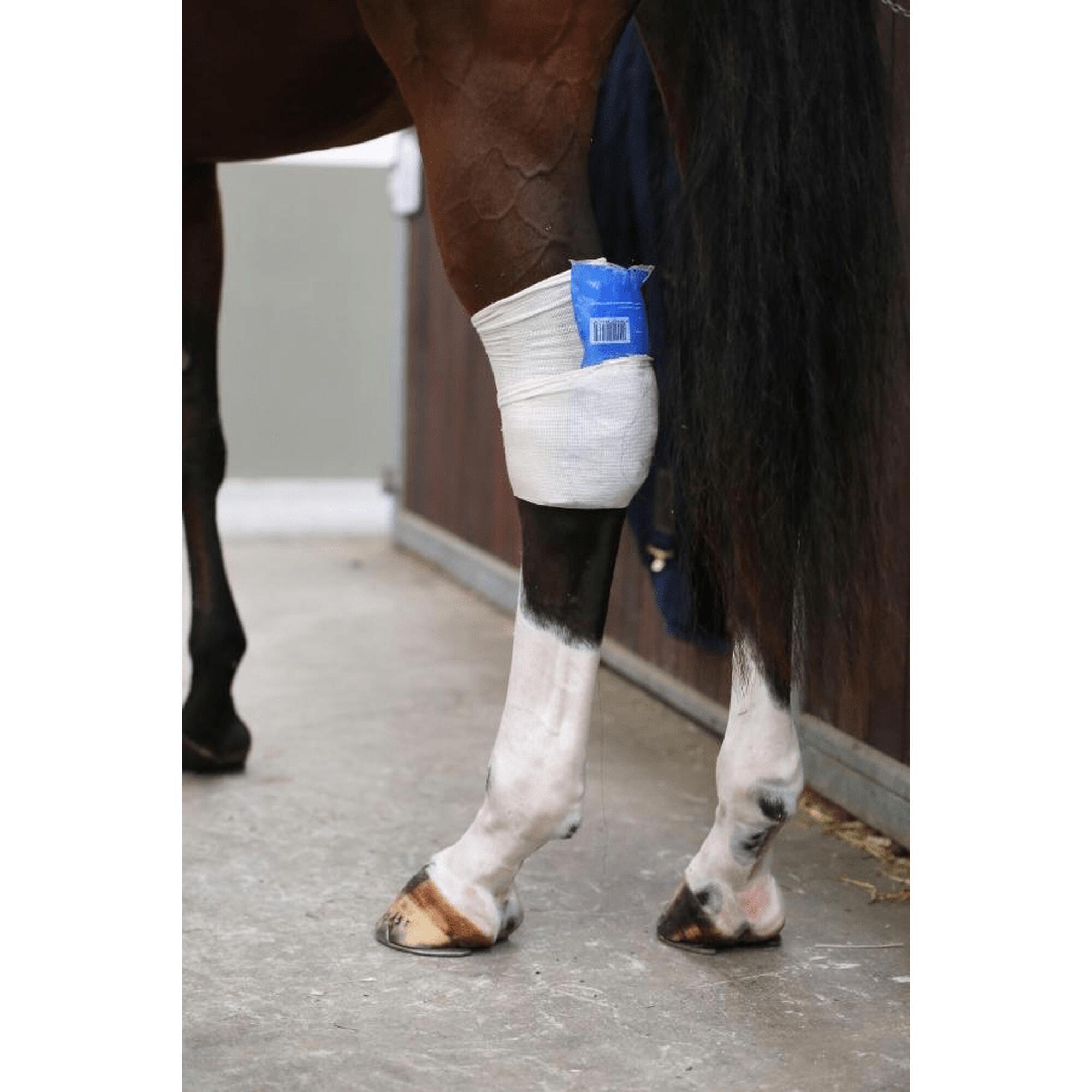 Kentucky Tendon Grip Kous Beige - KENTUCKY HORSEWEAR - Decathlon