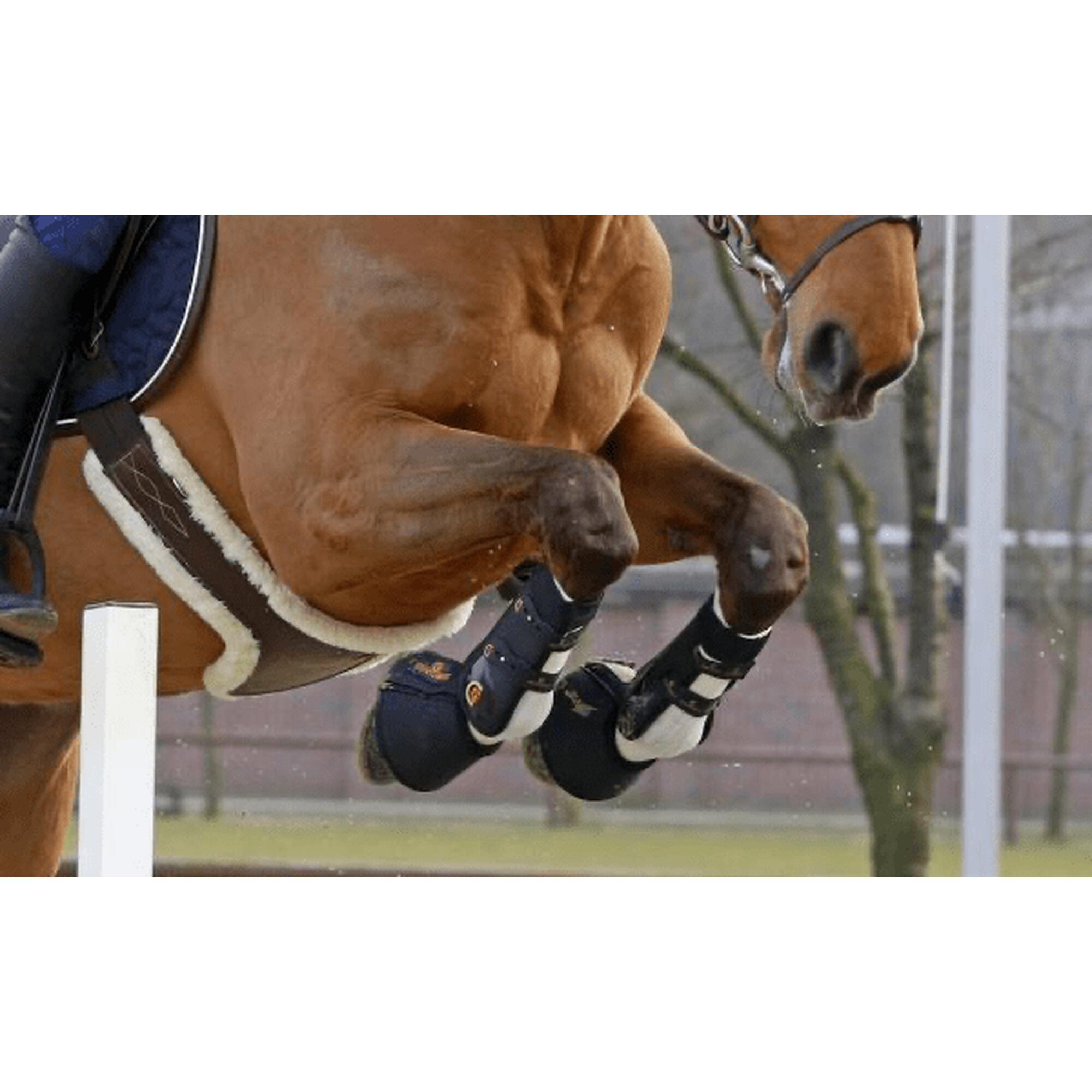 Kentucky Tendon Grip Kous Beige - KENTUCKY HORSEWEAR - Decathlon