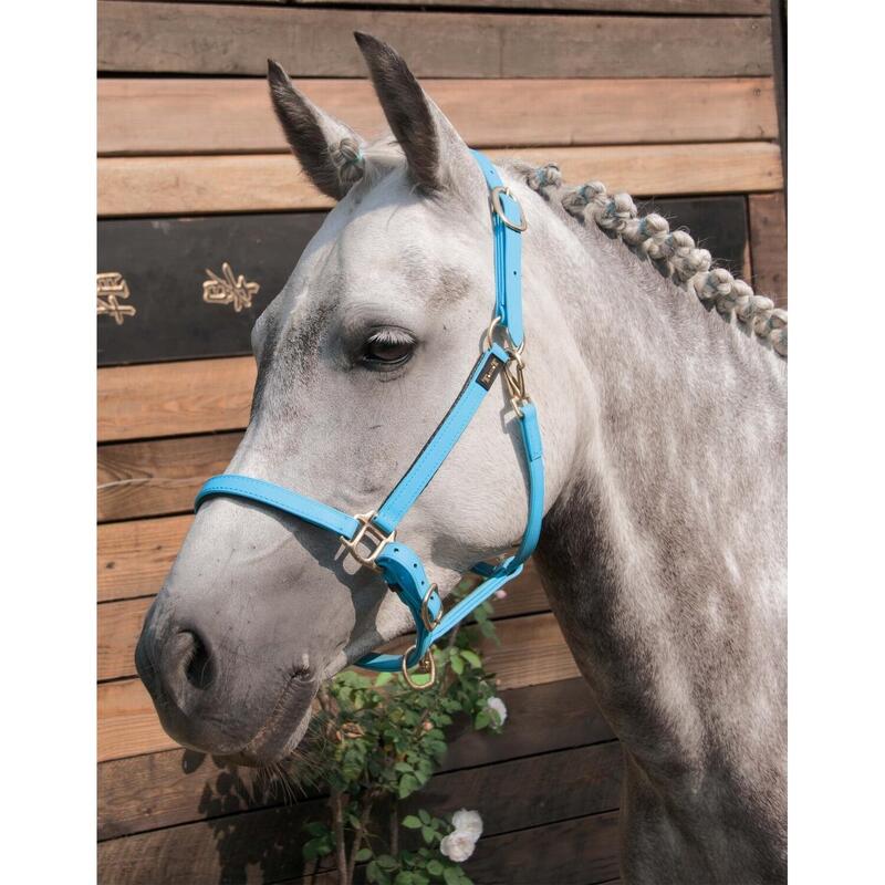 Kantar dla koni T de T Biotack® T DE T | Decathlon