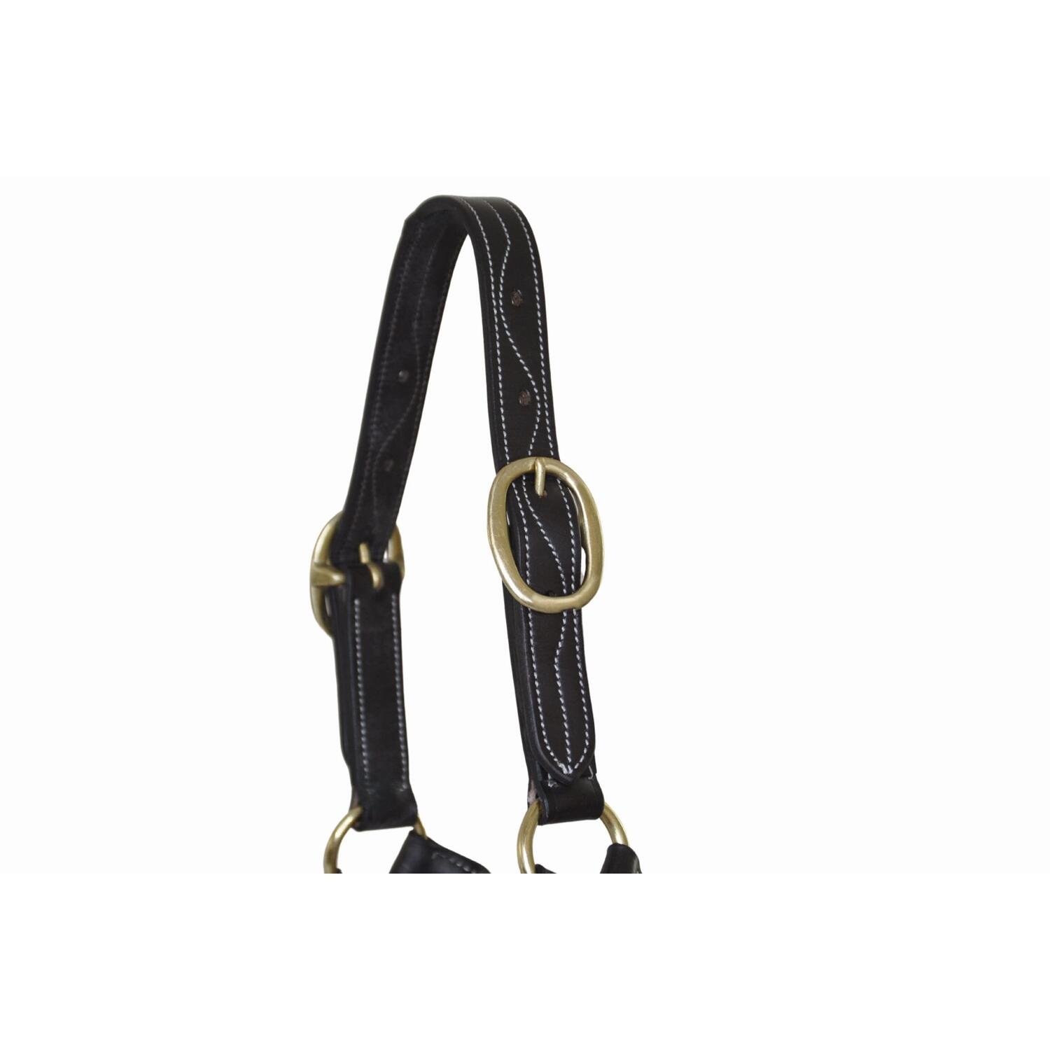 Leather halter for horses T de T Trippled Stiched T DE T | Decathlon