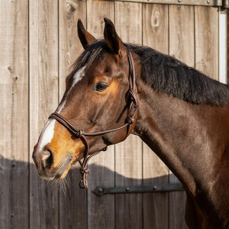 QHP Touwhalster Liberta Leer - Zwart (Cob) QHP - Decathlon