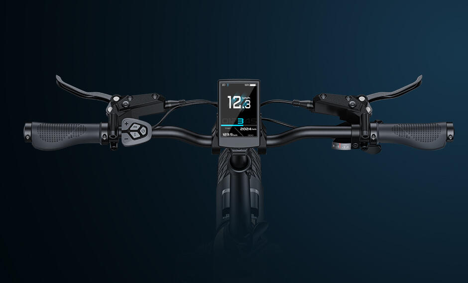 ENGWE L20 3.0 PRO 250W 720WH Foldable Electric Bike | Decathlon