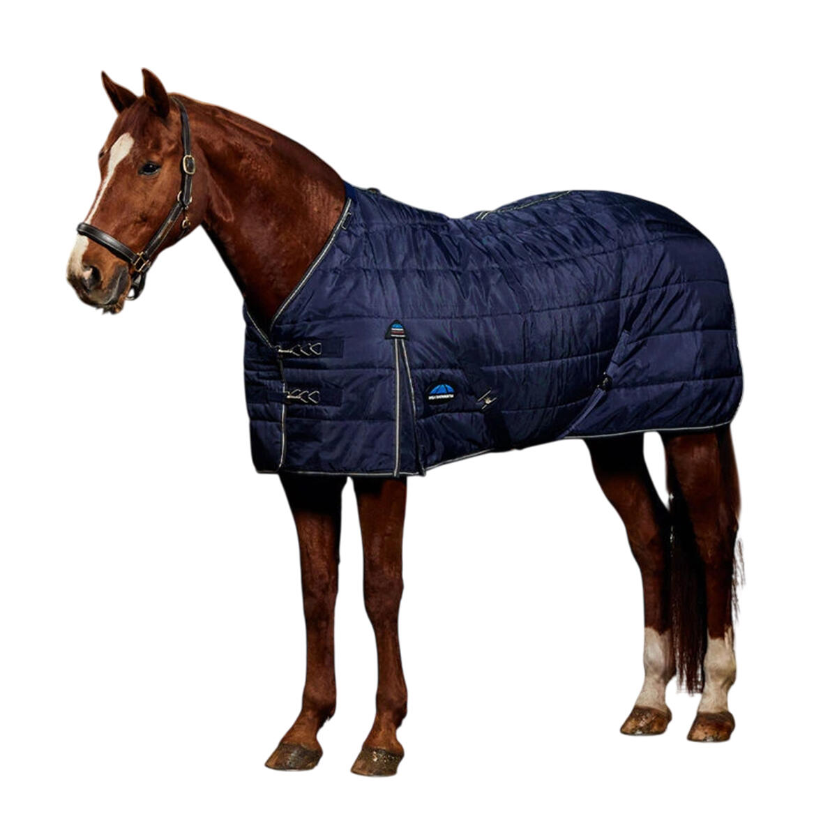 Couverture De Box Pour Chevaux COMFITEC PP CHANNEL QUILT (Bleu Marine ...