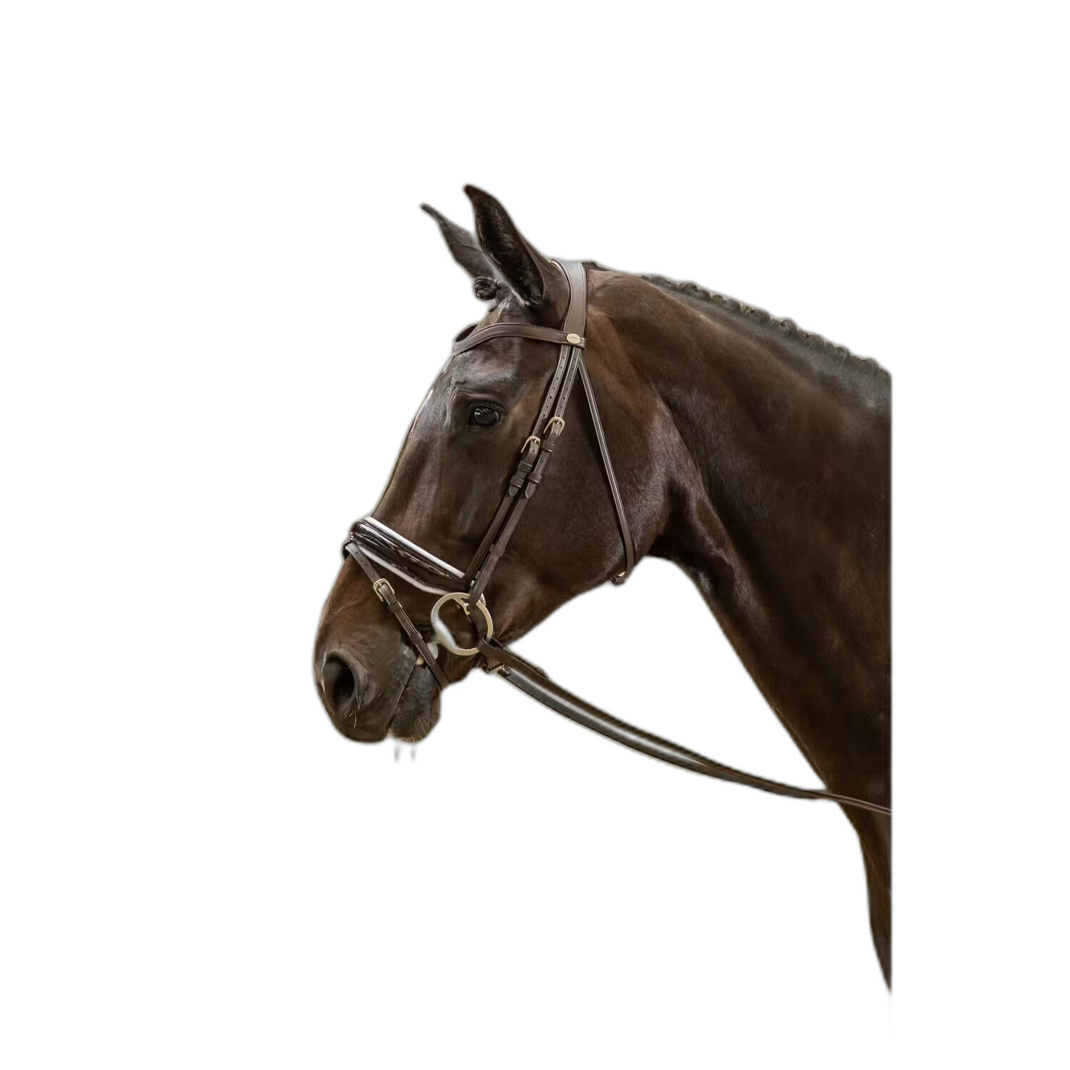 Wide glossy combined noseband bridle with white lining Dy'on DY ON ...