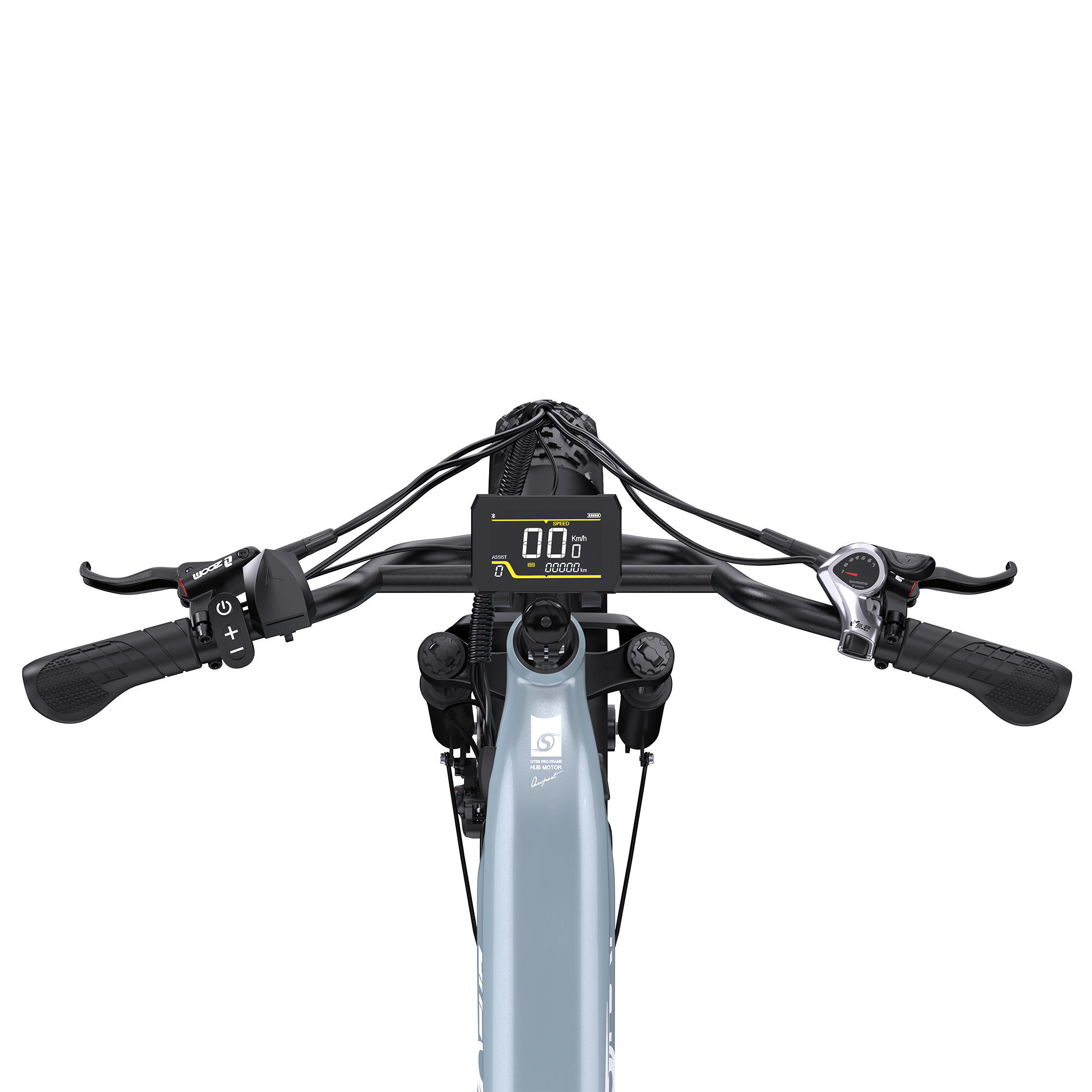E-Bike 250W · Actieradius 80–90 km · 65 Nm · Brede Banden · Hydraulisch ...