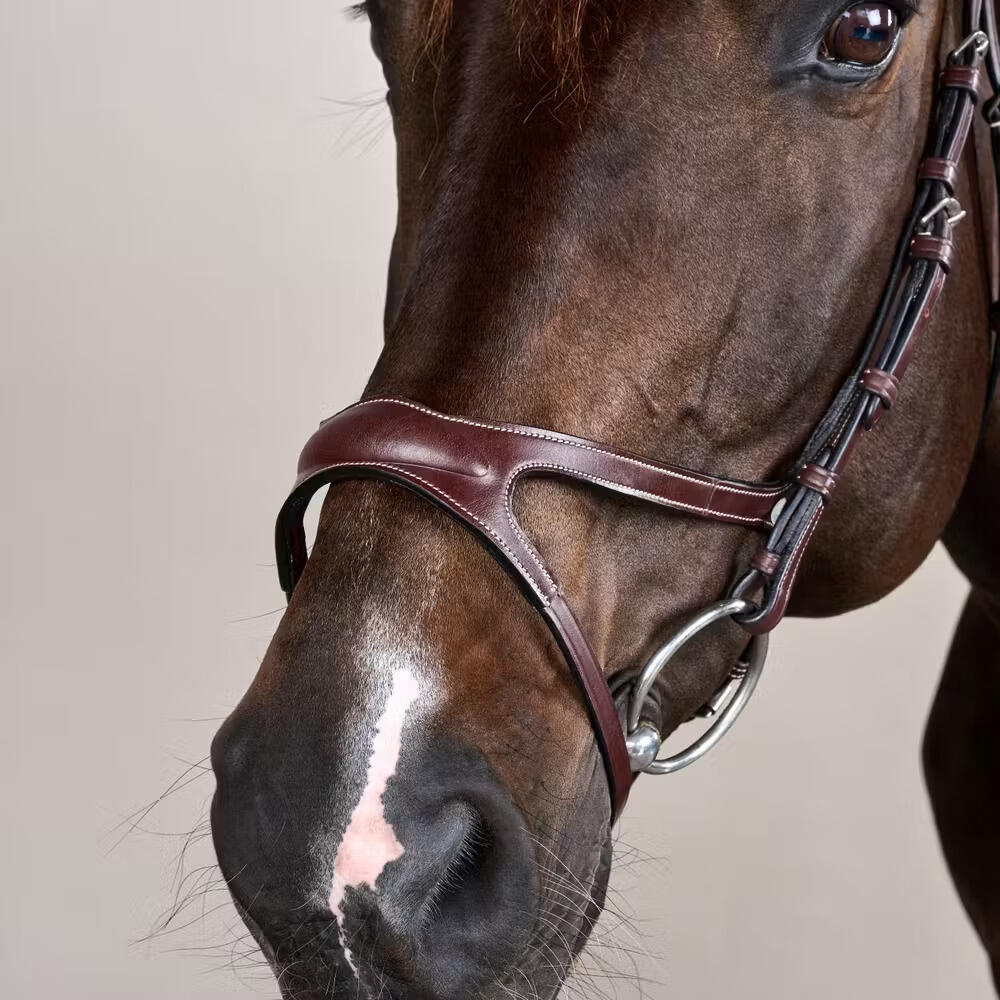 Riding bridle Dy'on X-Fit US Collection DY ON | Decathlon