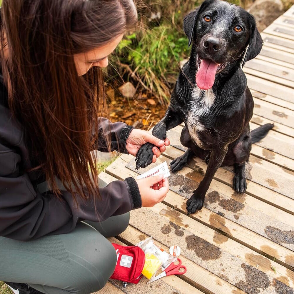Compact Dog First Aid Medical Kit | Decathlon