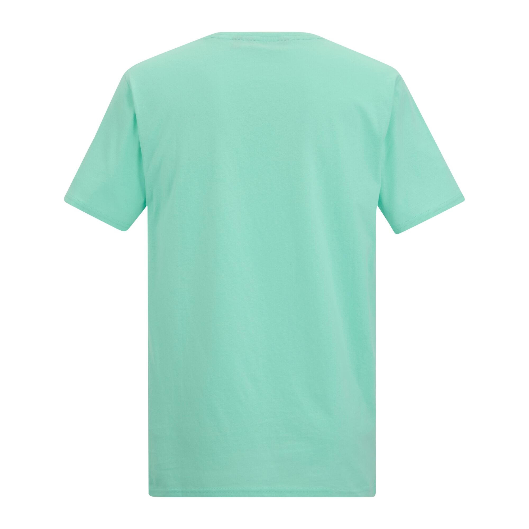 Mens Cline IX Sea Wave TShirt (Ice Green) | Decathlon