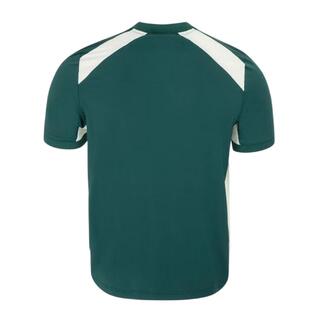 Mens Logo Woven Zip Neck Golf TShirt (Green/White) | Decathlon
