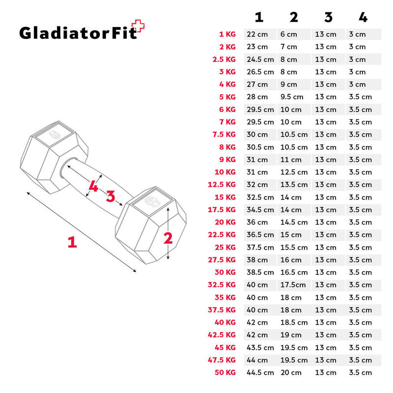 Haltère hexagonal "Hex Dumbbell" en caoutchouc GladiatorFit ...