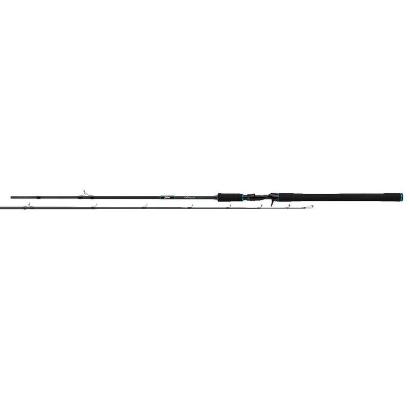 Salmo Trollmaster 240Cm 40-60Gr 2Pc. - Roofvis Jerkbait & Reelhengel ...