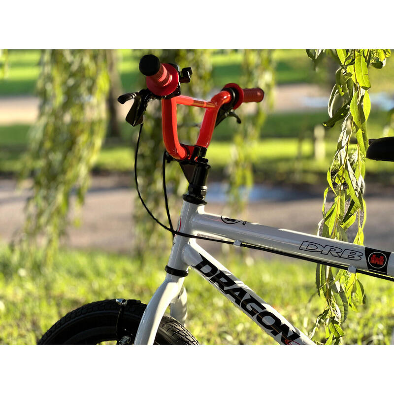 Dallingridge Dragon Slayer 16In Kids BMX Bike DALLINGRIDGE - Decathlon