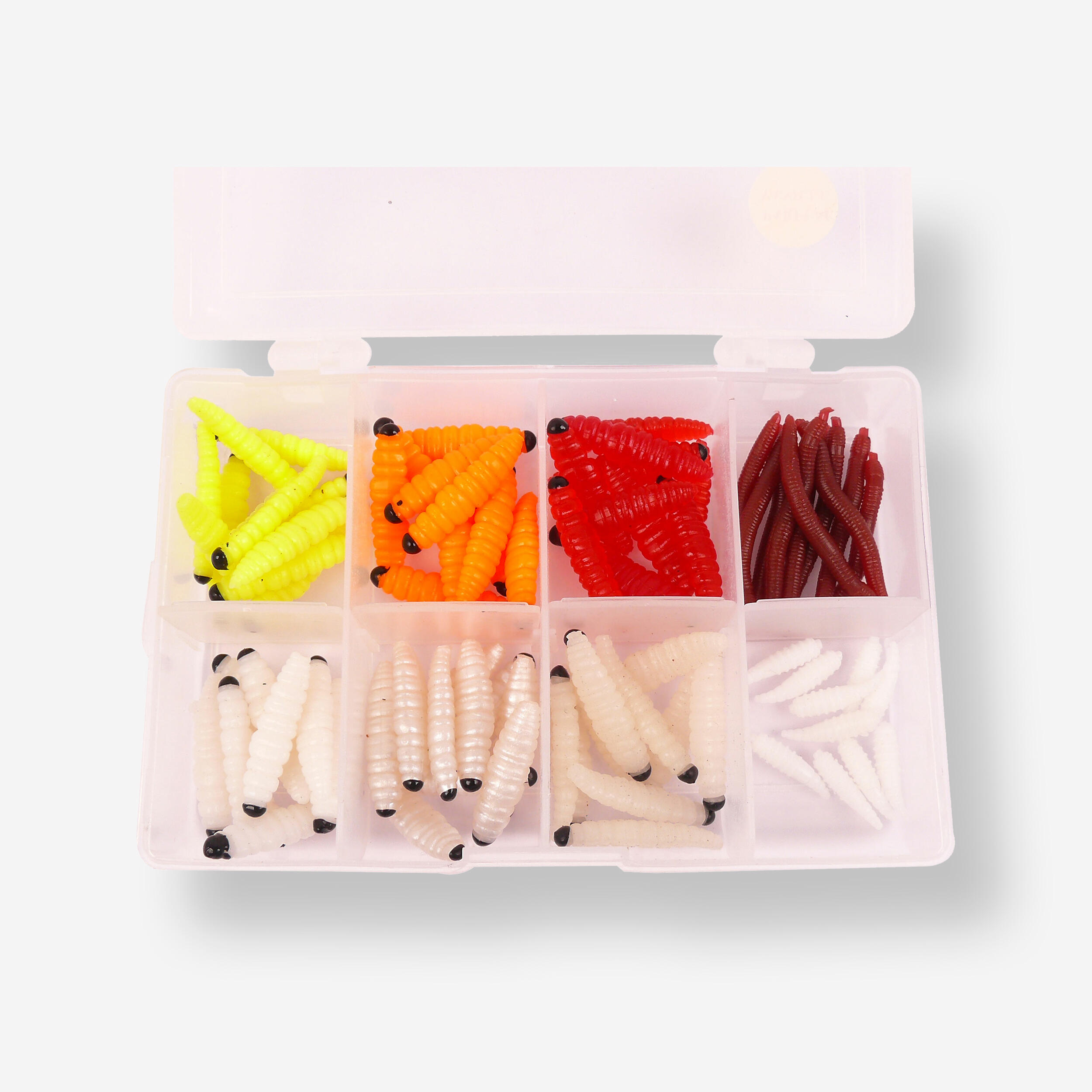 TROUT FISHING BAIT IN PONDS WITH BAIT PACK ASSORTMENT RINGWORMS 8C ...