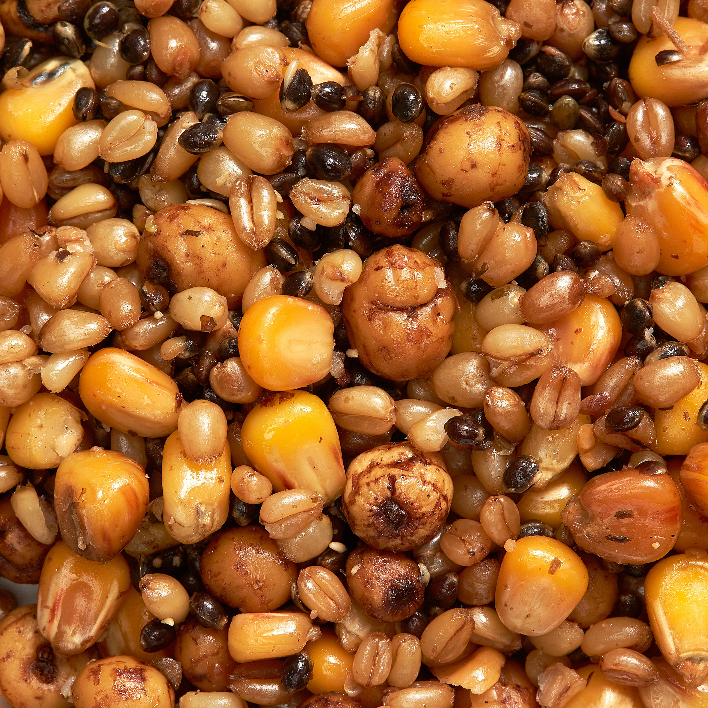 Carp Fishing Cooked Mixed Seeds 1kg - Decathlon