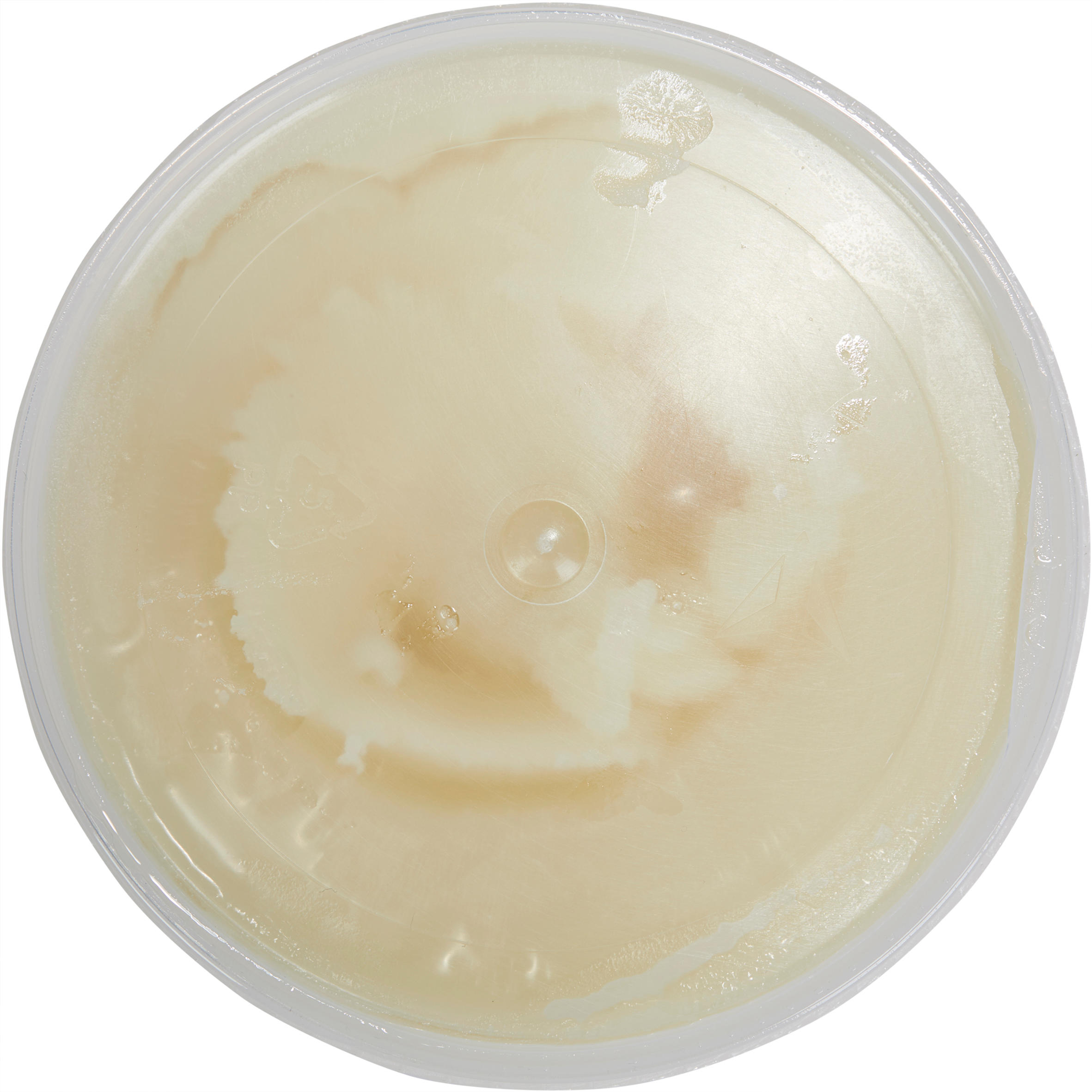 Horse and Pony Hoof Grease Pedocan Ointment 1 L - Blond - Decathlon
