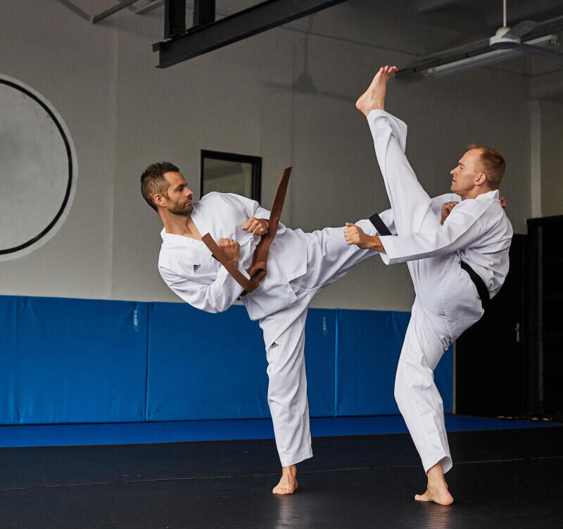 O que é o taekwondo? Uma introdução