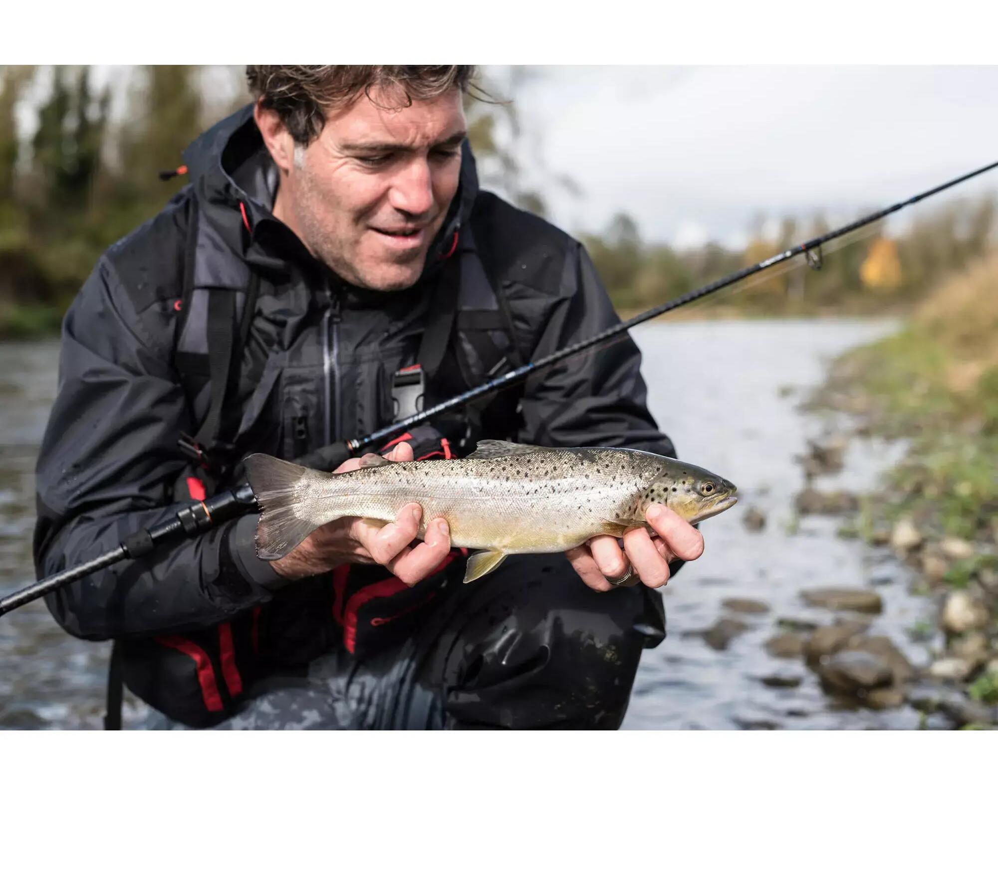 CHOOSING THE BEST SEA BAIT