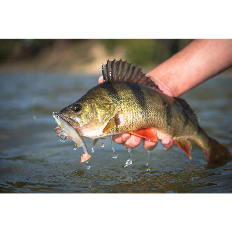 Gummifische Shad Roach RTC 90 Plötze/Firetiger CAPERLAN - DECATHLON