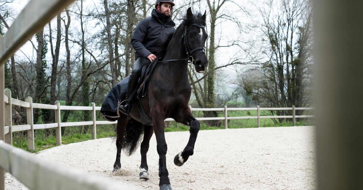 Monter et gérer un cheval chaud