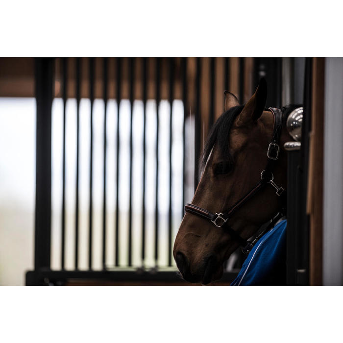 Licol cuir équitation cheval et poney 900 marron Fouganza | Decathlon