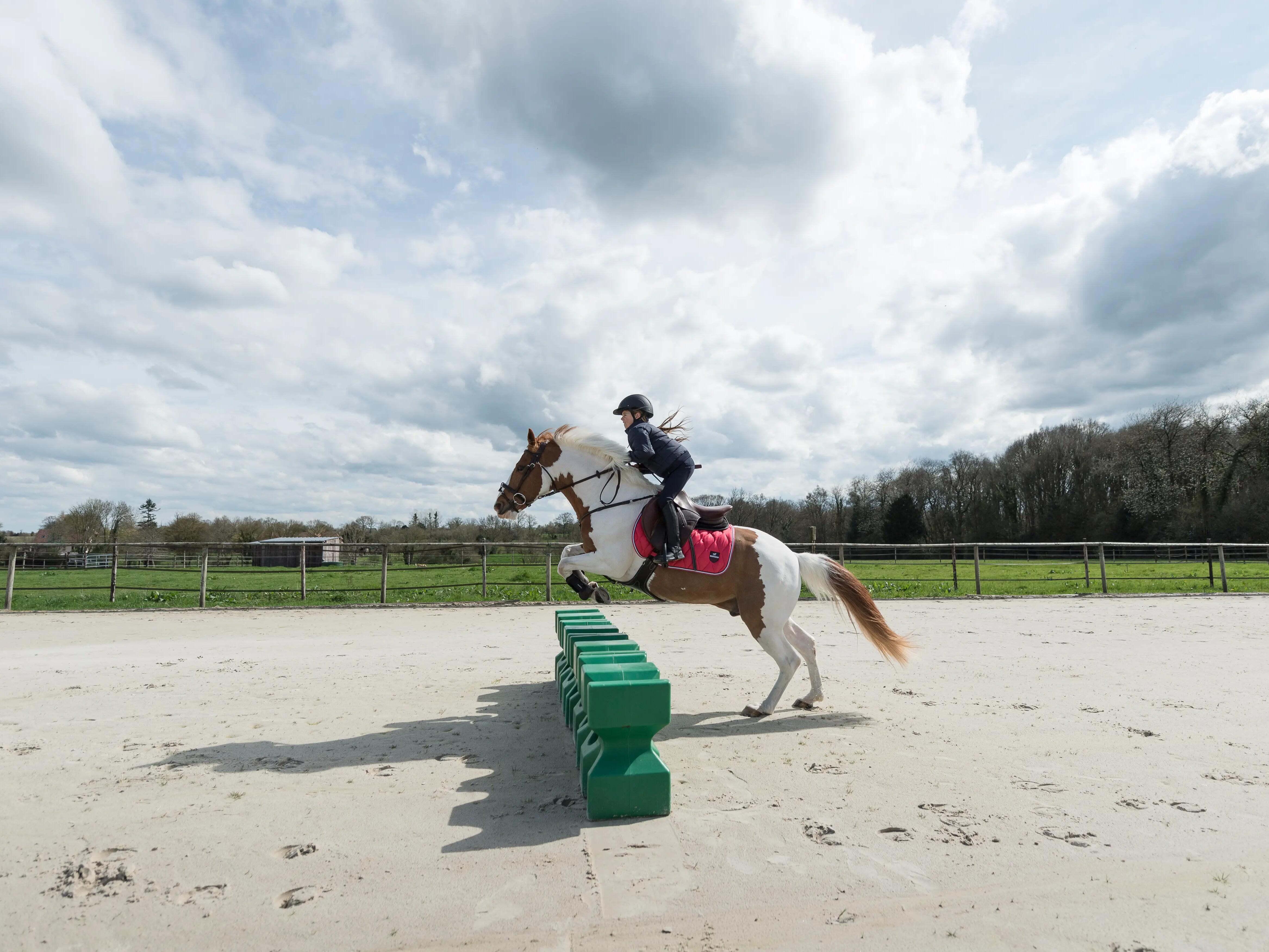 Est ce que l'équitation est un sport Est ce que l'équitation est un sport