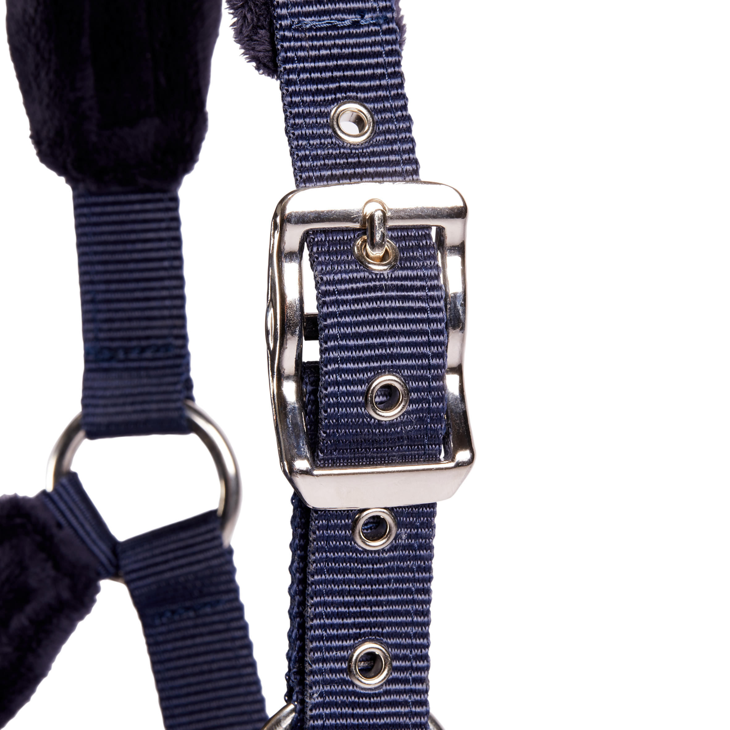 Winner Horse Riding Halter for Horse and Pony - Navy - Decathlon