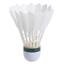 FEATHER SHUTTLECOCK FSC 100 x 12