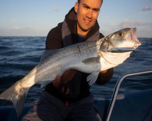 Règles de pêche en Belgique : tout savoir pour bien débuter