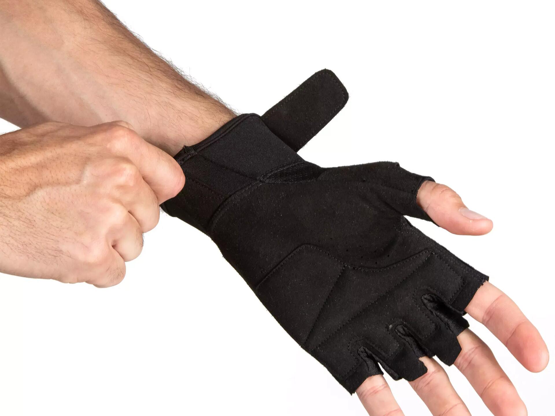 Exercises you can do on the 500 FOLD weight bench