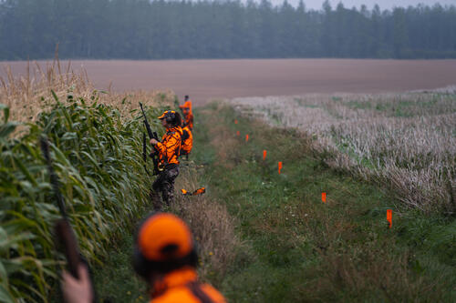 Hunting big and small game solognac decathlon