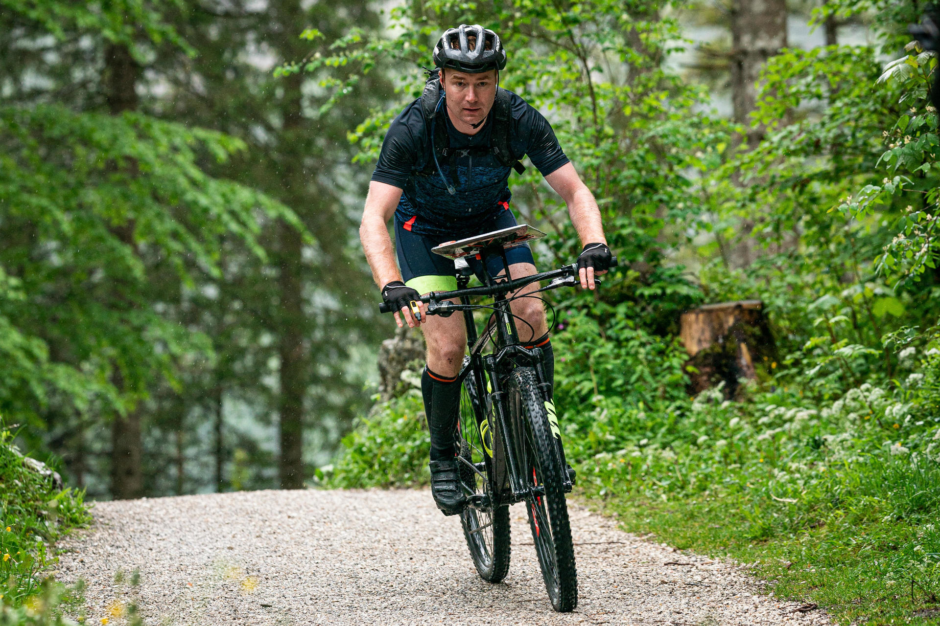 Mountainbike: Gabel und Federung