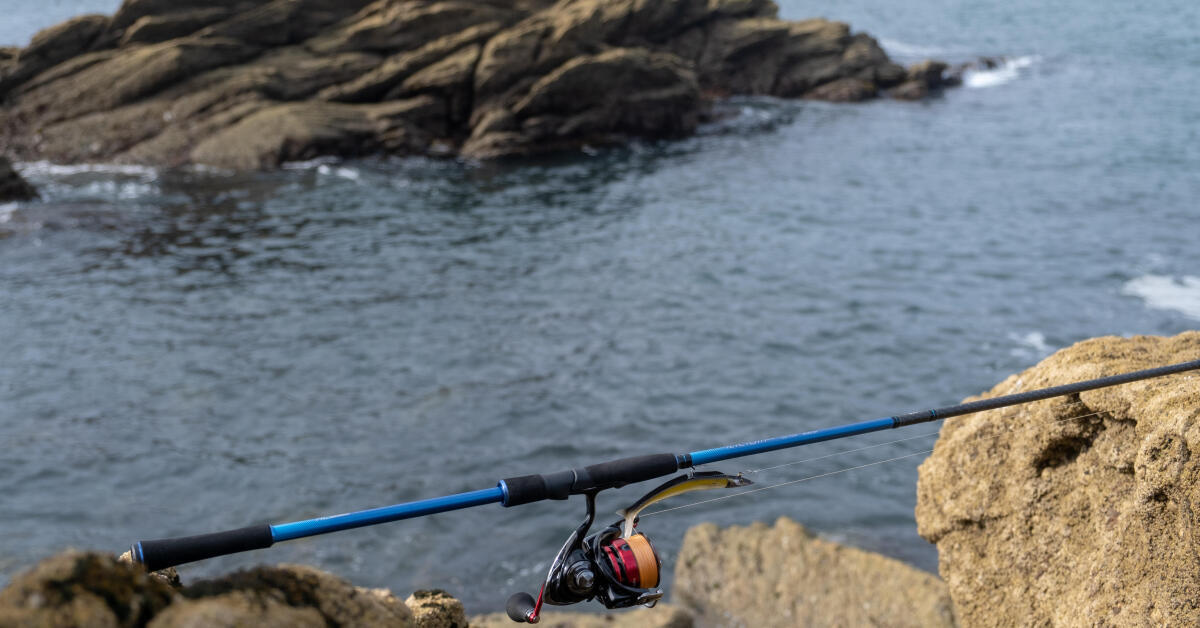 Como iniciar-se à pesca de robalo a partir da margem.