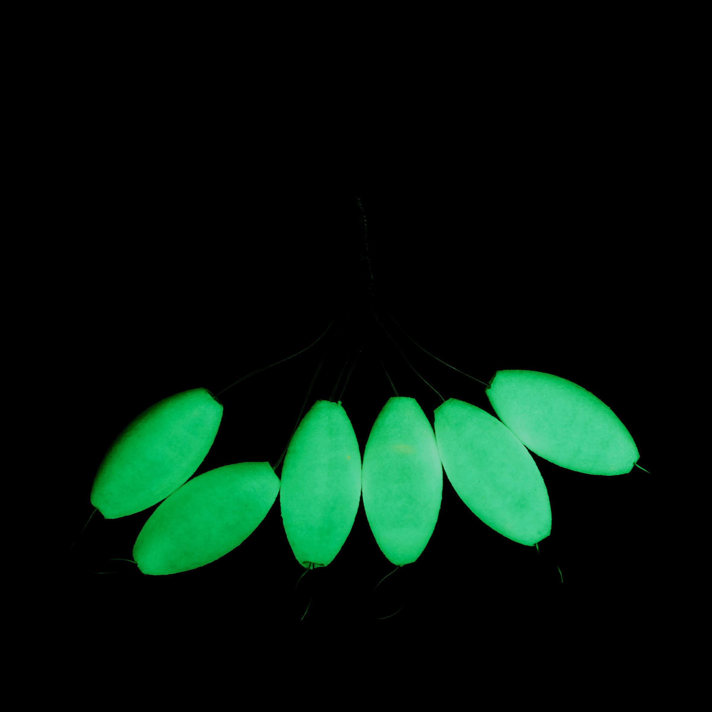 Fishing Surfcasting Phosphorescent Floating Beads Oval 15 mm CAPERLAN ...