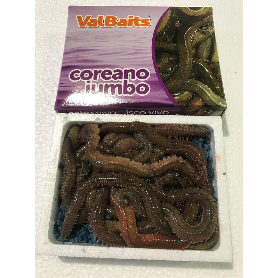 Comprar Cebo Vivo para Pescar | Decathlon