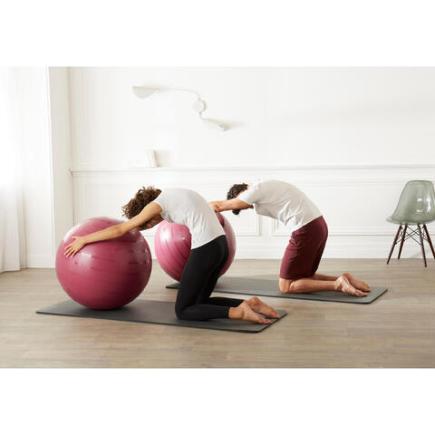 Buy Home Gym Equipment Gym Ball Online @ Best Prices | Decathlon Singapore