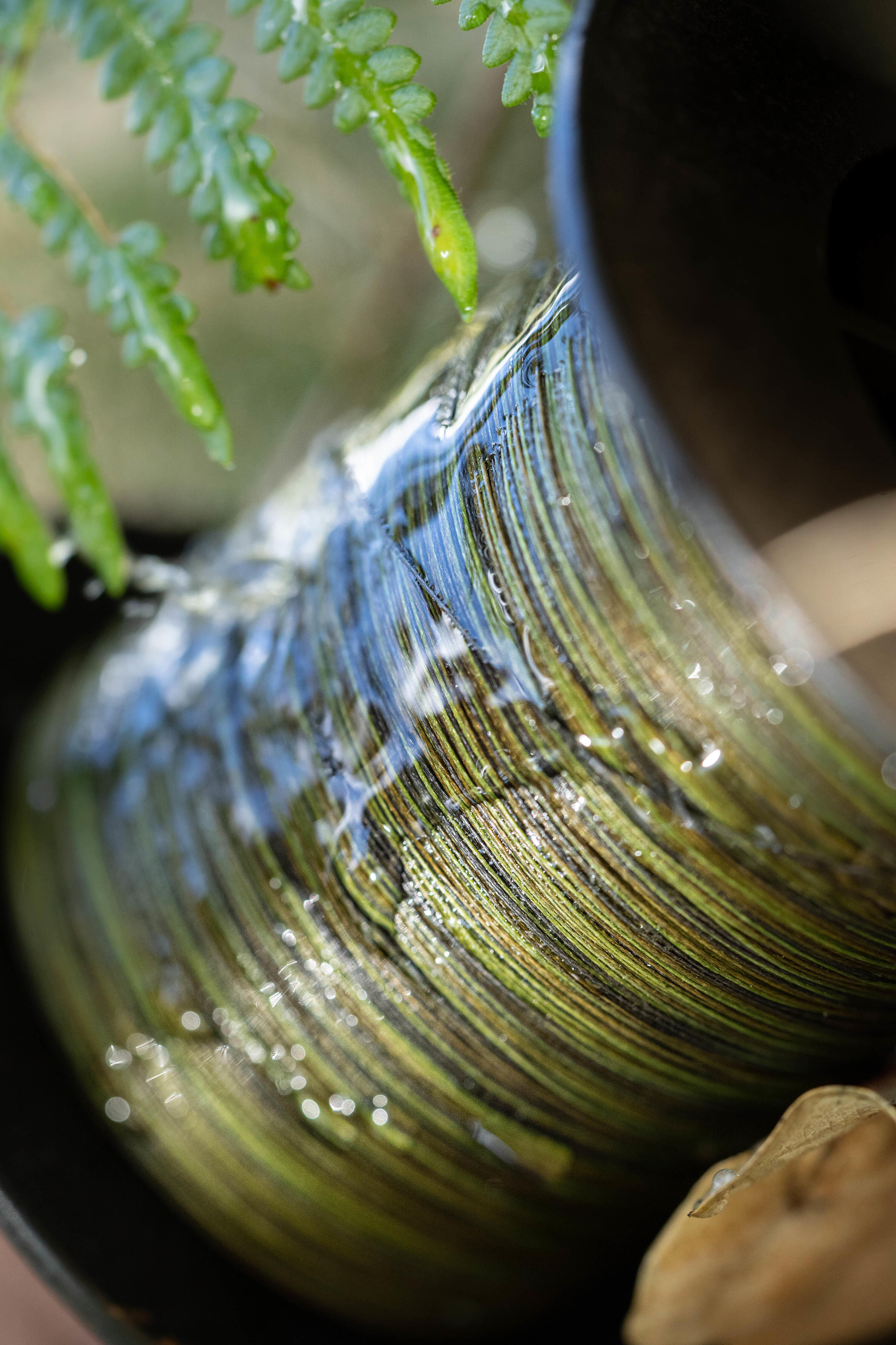 Carp fishing sinking braid 35/100 350 m CAPERLAN | Decathlon