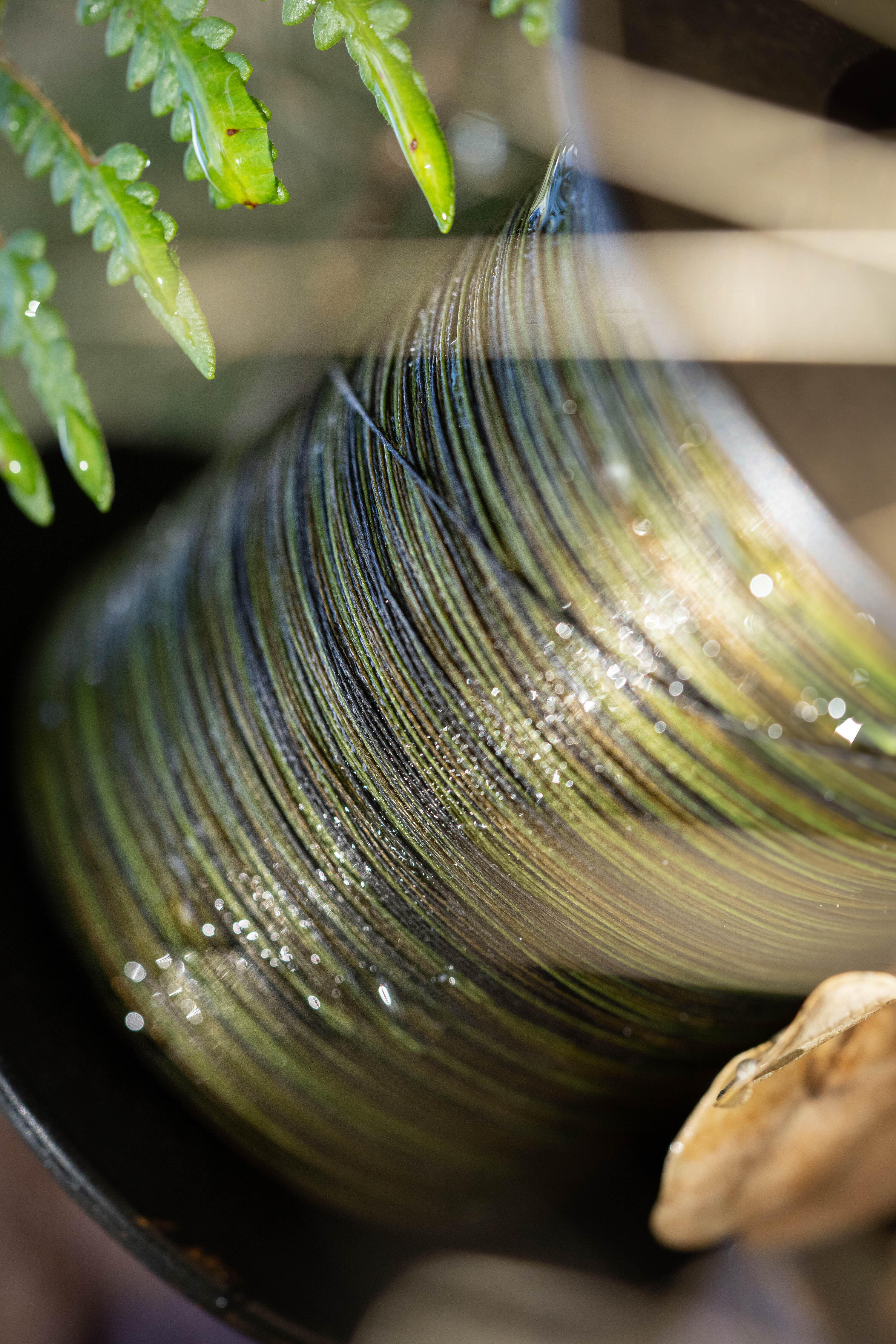 Carp fishing sinking braid 35/100 350 m CAPERLAN | Decathlon